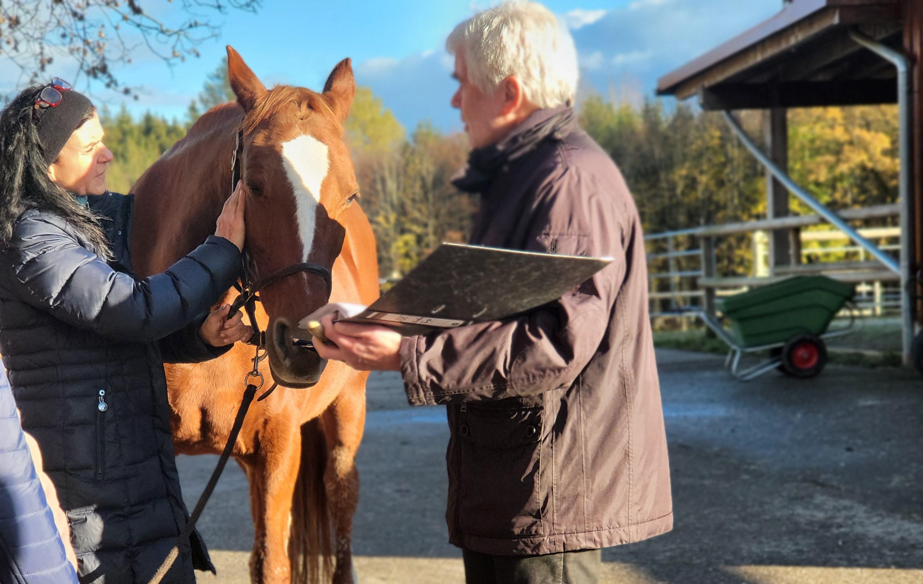 Lehrvideos für die Akupunkturorientierte Energiearbeit (AOE) von und ...