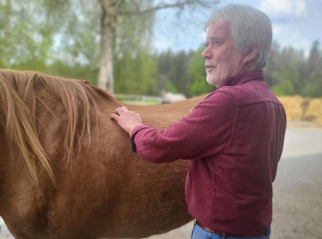 Seminar AOE - nach Dr. Christian Torp | SARAH MERGEN